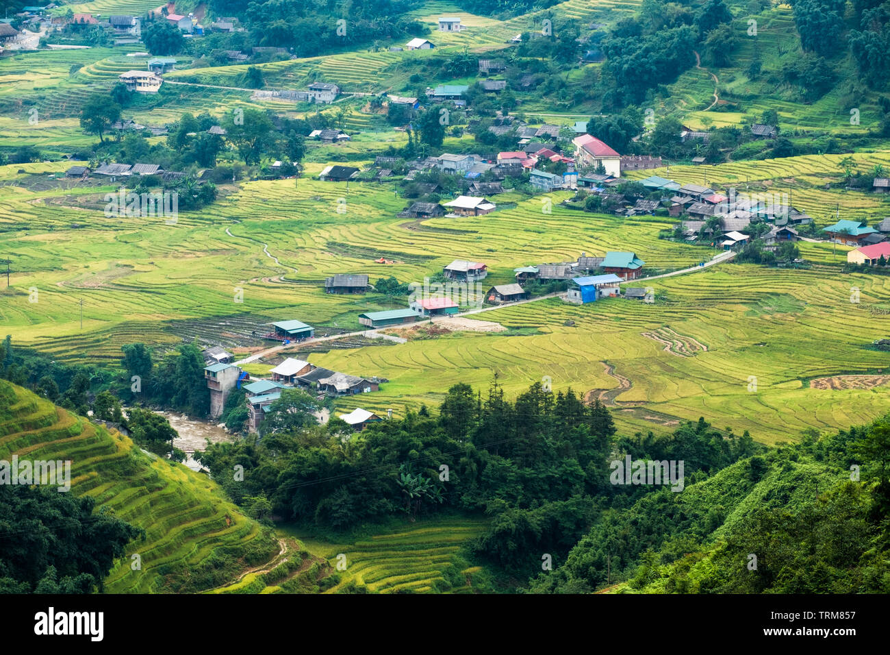 Viewpoint of Tavan village on rice field terraced at Sapa, Vietnam ...