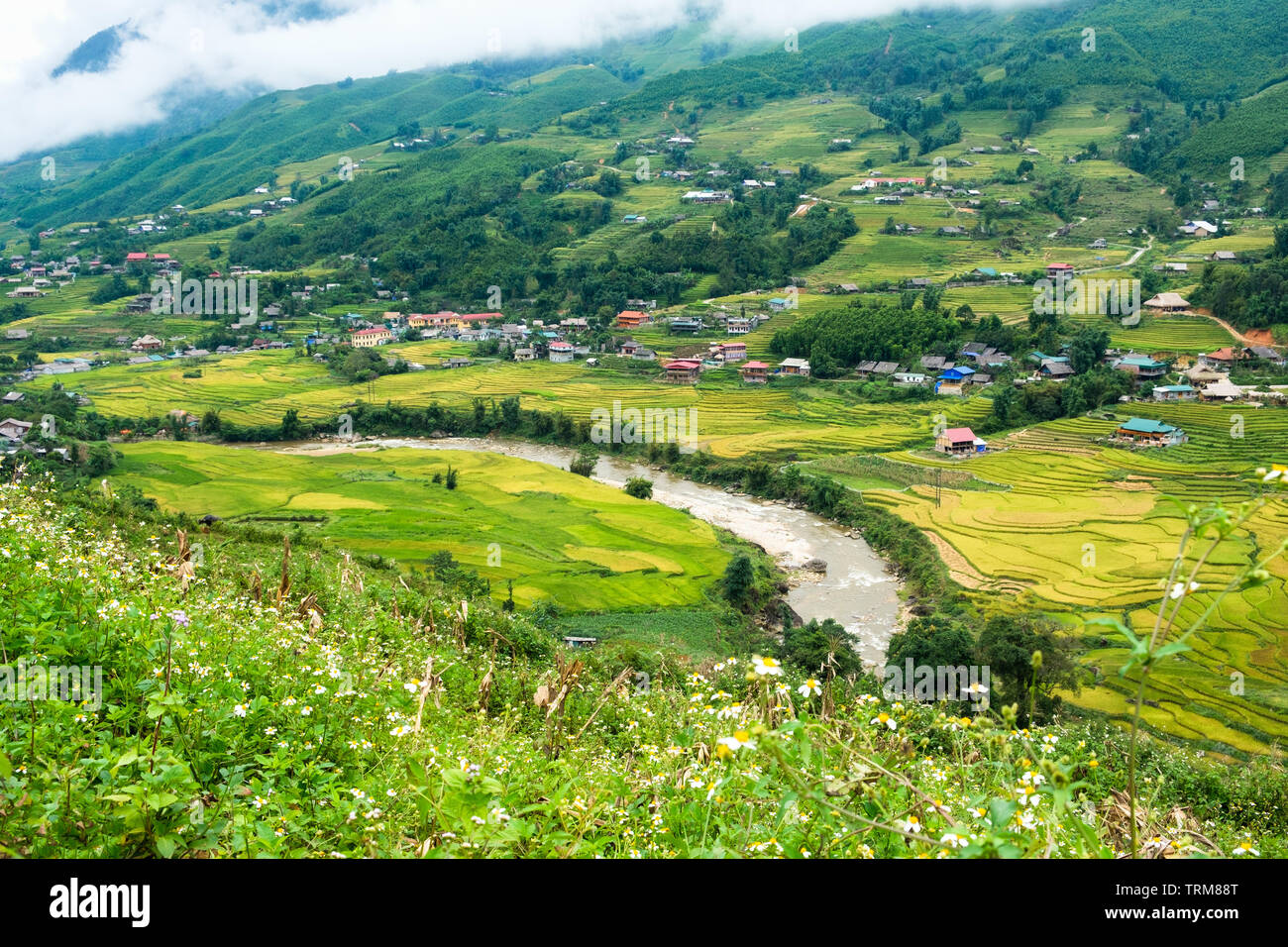 Rice field with river in valley at tribal village, Sapa Stock Photo - Alamy