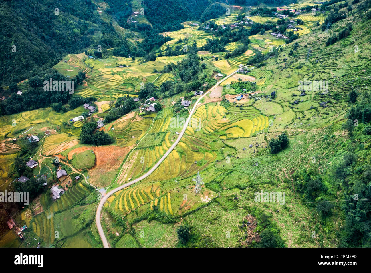 Above view of Tavan village and rice field terraced in valley at Sapa ...