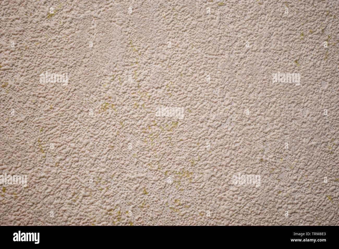 Stucco texture of stone wall in the room. The texture of a light beige ...