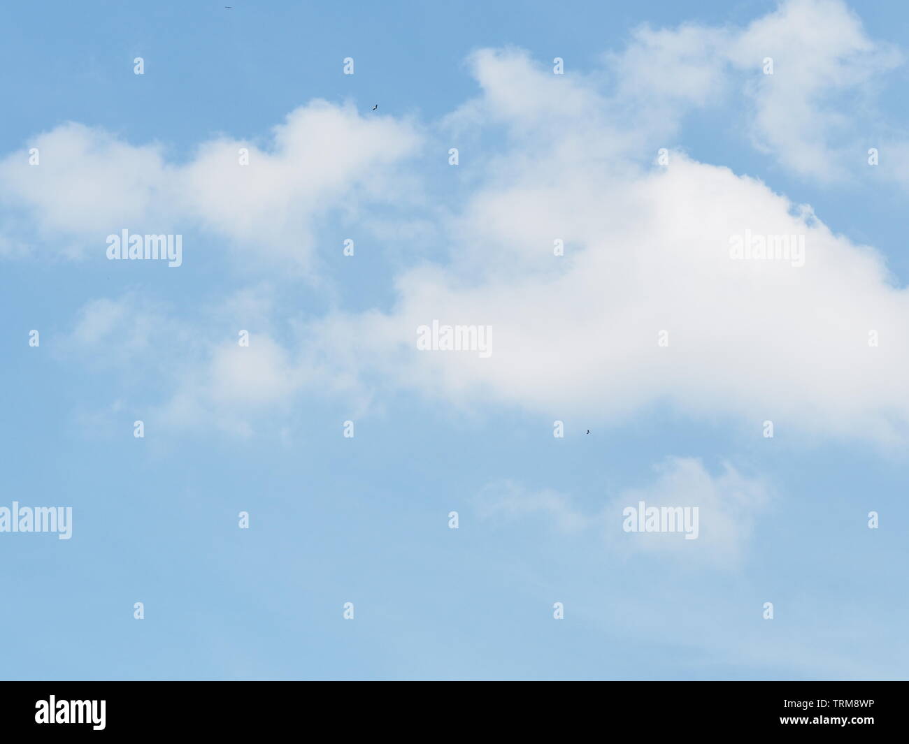white clouds in the blue sky natural background beautiful nature space ...