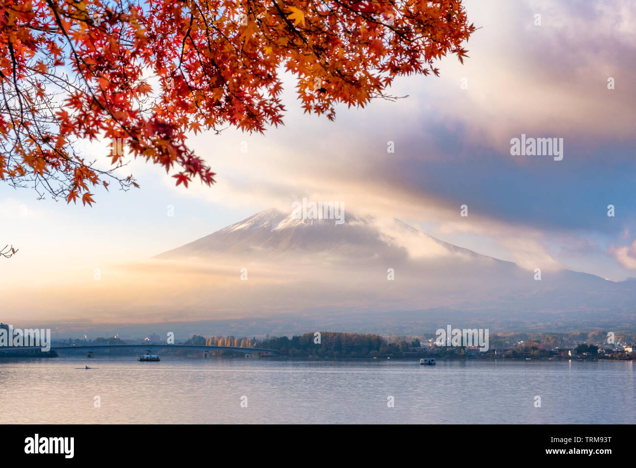 Mount Fuji through fog with red Maple cover in sunrise morning at ...