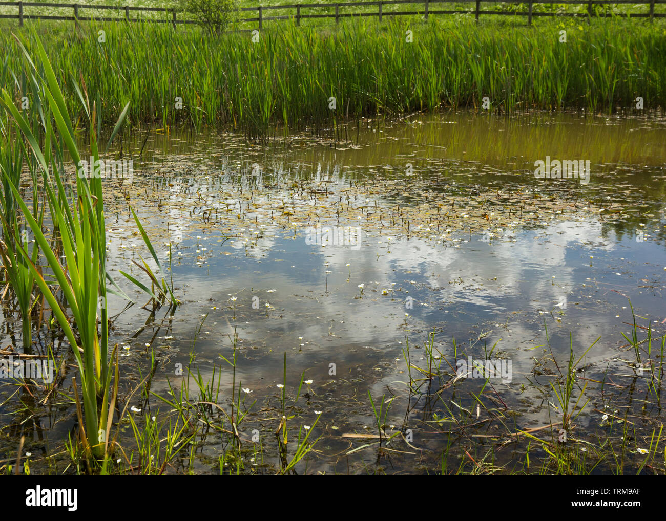 High mere hi-res stock photography and images - Alamy