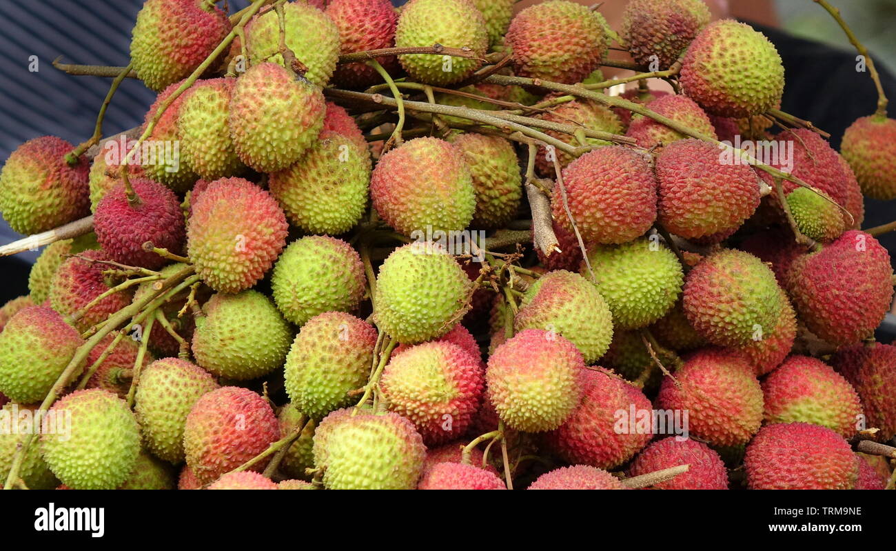 Bundles of fresh lychee fruit are sold at an outdoor market Stock Photo ...