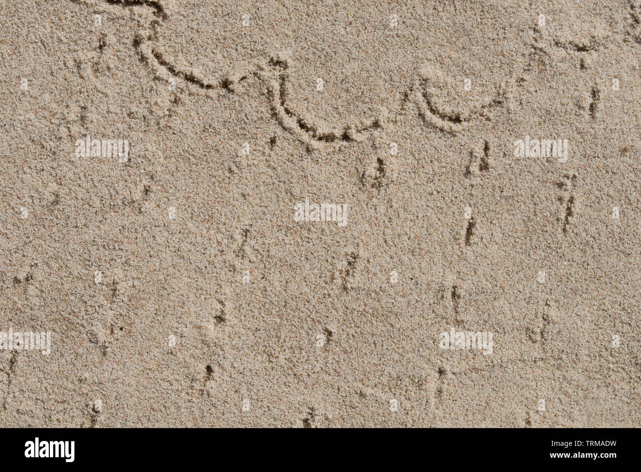 cloud and rain - drawing on sand background Stock Photo - Alamy
