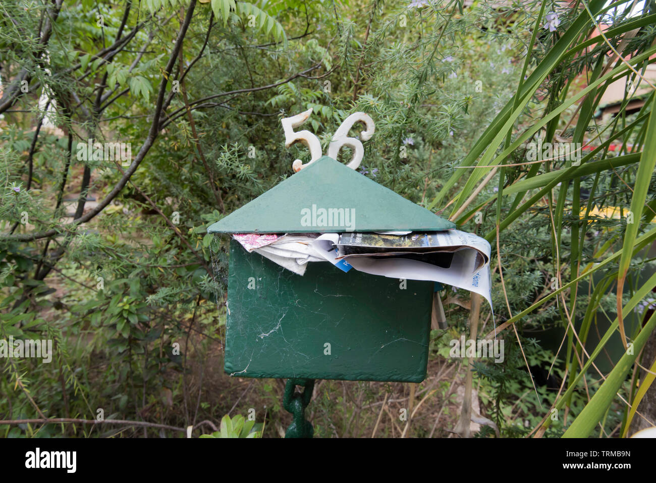 An old painted metal letterbox with letters and flyers (leaflets ...