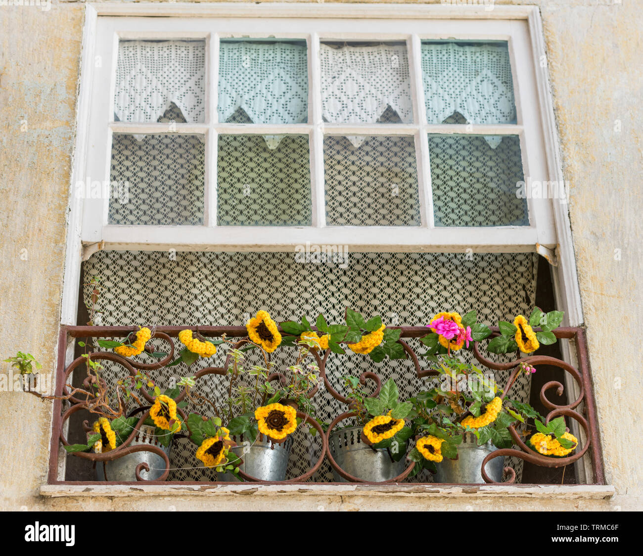 Town window with sunflowers Stock Photo - Alamy