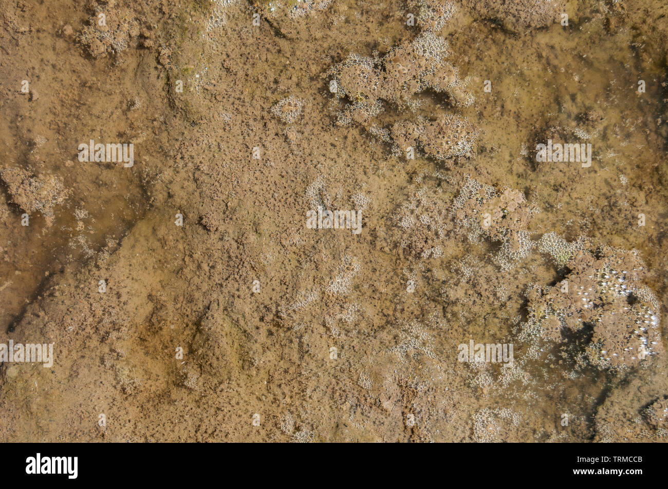 Muddy Ditch High Resolution Stock Photography and Images - Alamy