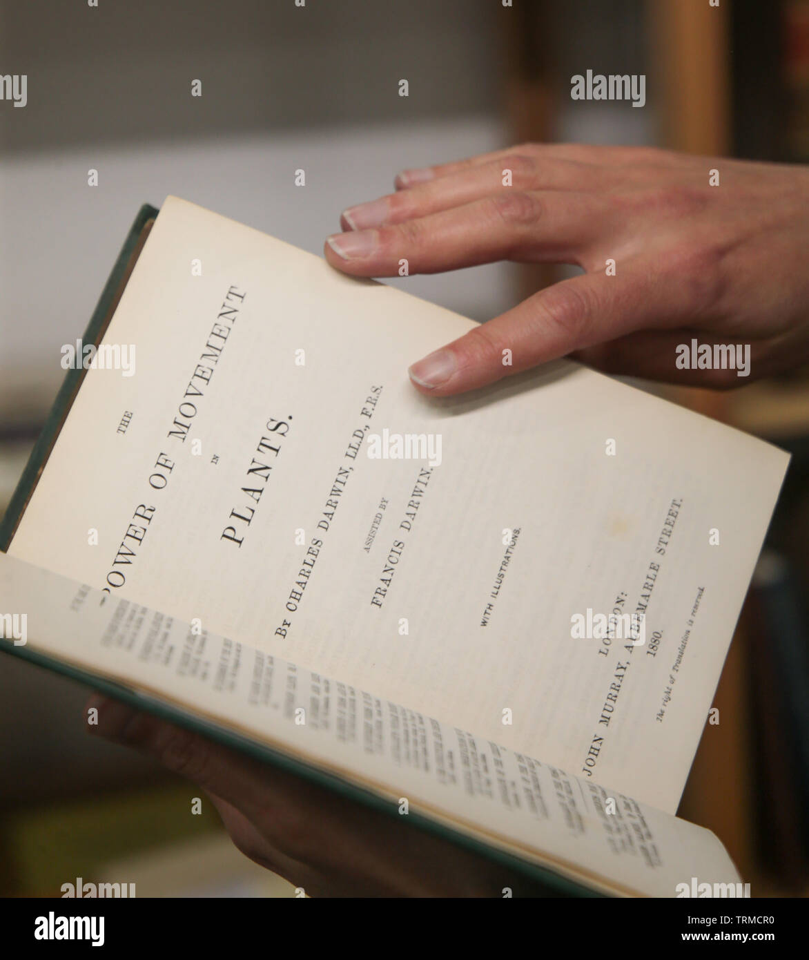 Elizabeth darwin hi-res stock photography and images - Alamy