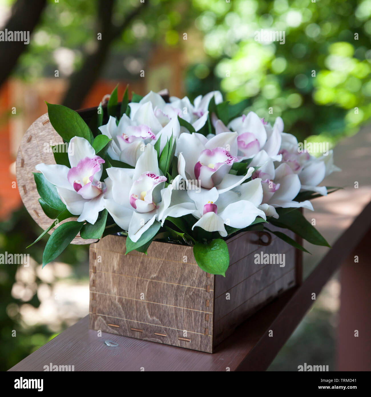 White orchids in a gift box on the terrace as a wedding gift Stock ...