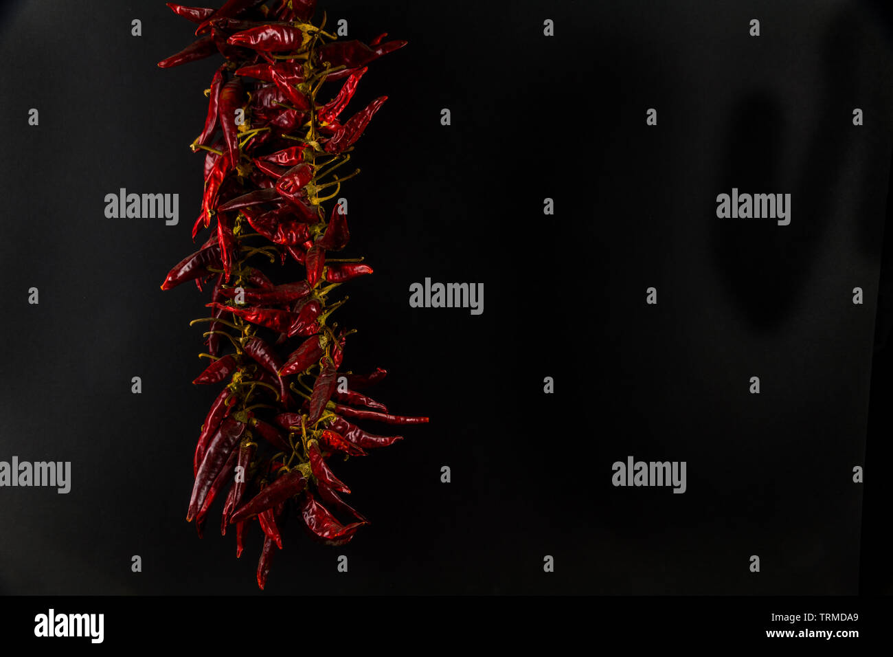 Hungarian paprika pepper string, black background, copy space on right ...