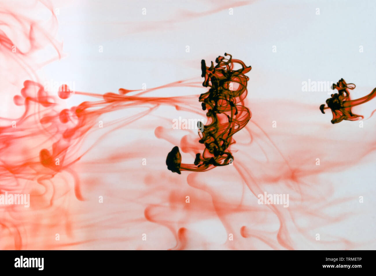 Coloured ink swirling in water Stock Photo - Alamy