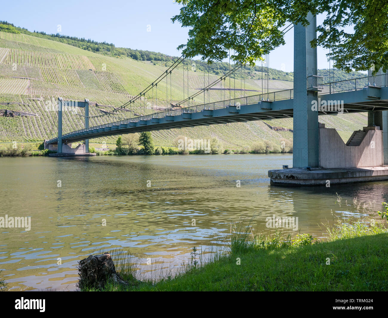 Wehlen Suspension Bridge, Mosel, Germany. The only suspension bridge ...