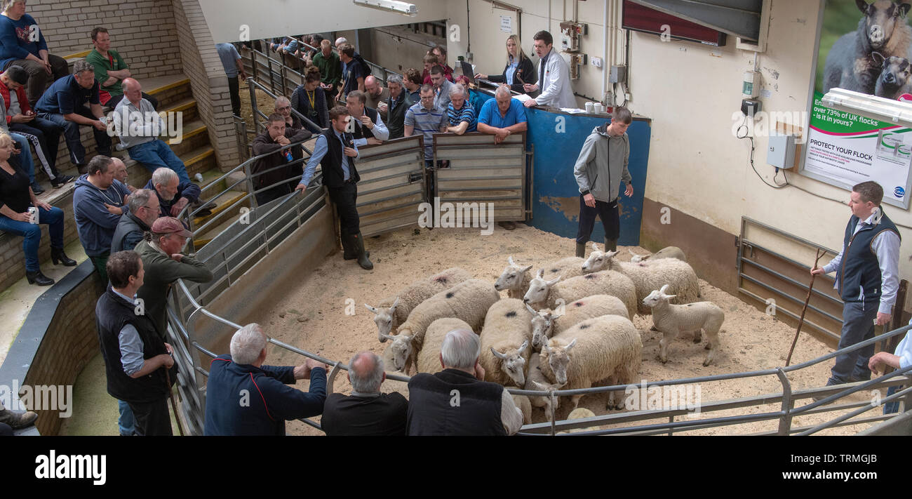 Ring fence money hi-res stock photography and images - Alamy