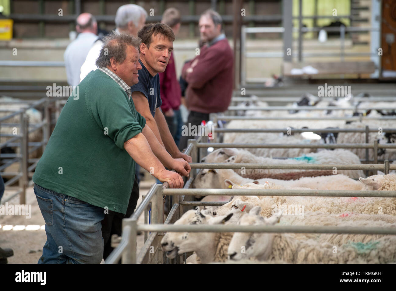 Farmers at the Auction mart, Lancashire, UK Stock Photo - Alamy