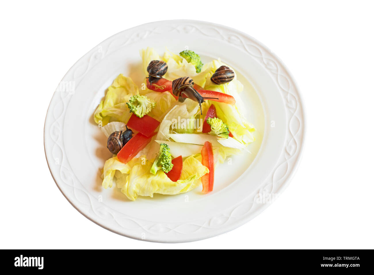 Game recipe Cut Out Stock Images & Pictures - Alamy