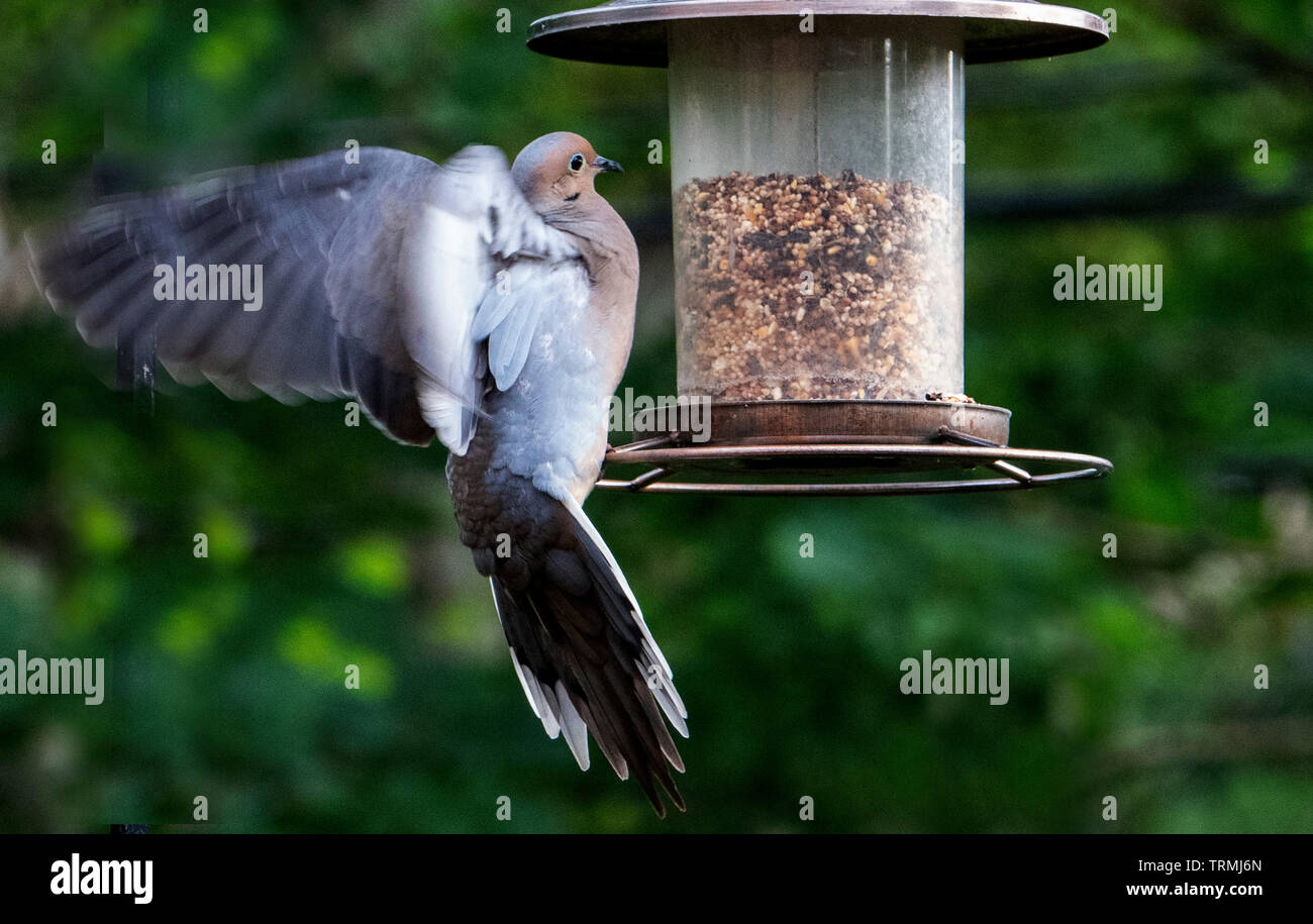 Balanced spread hi-res stock photography and images - Alamy