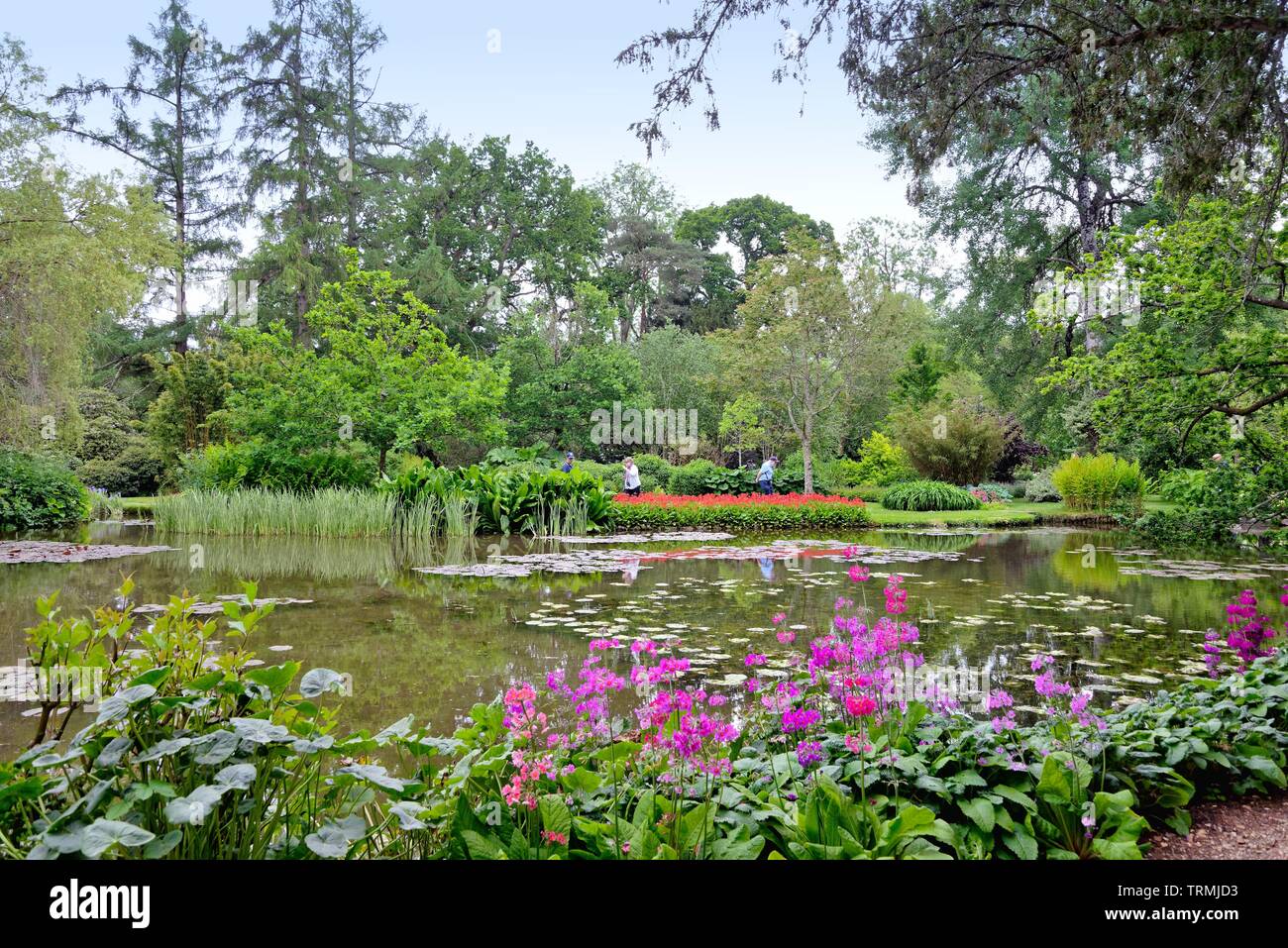 The Longstock Water Gardens, Leckford estate, Stockbridge Hampshire ...