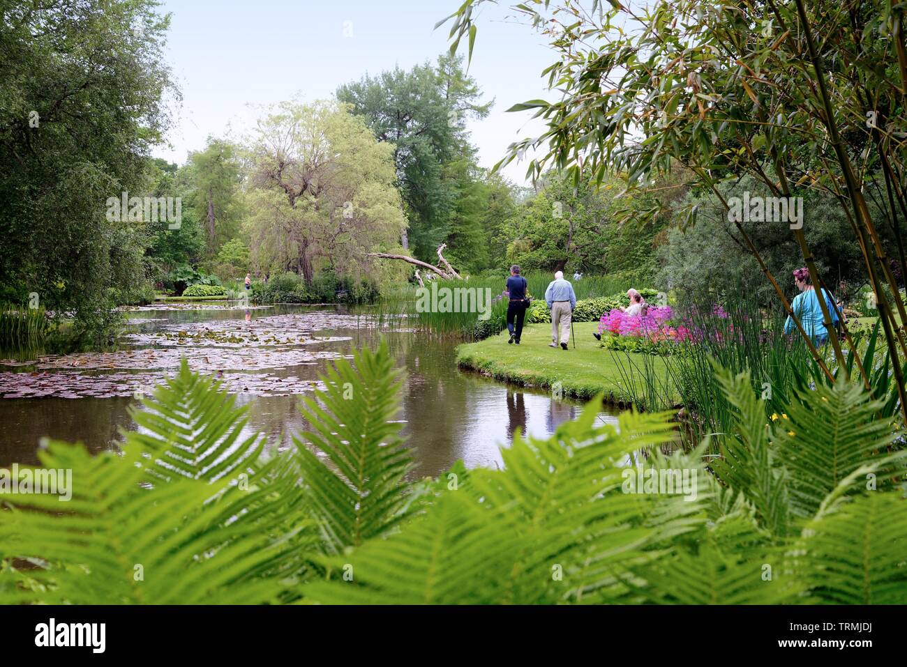 The Longstock Water Gardens, Leckford estate, Stockbridge Hampshire ...