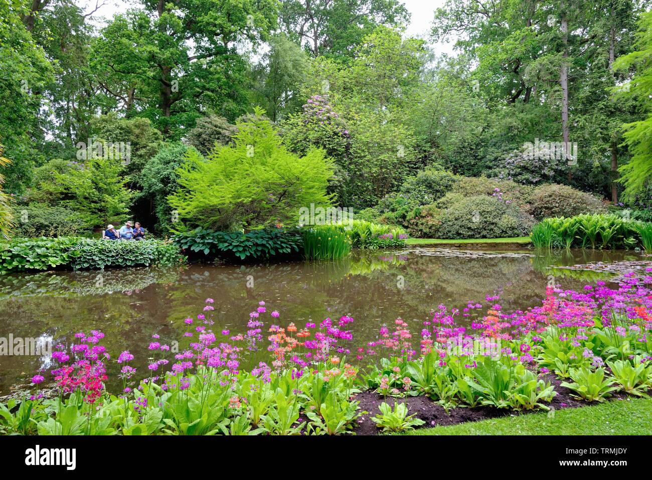 The Longstock Water Gardens, Leckford estate, Stockbridge Hampshire ...