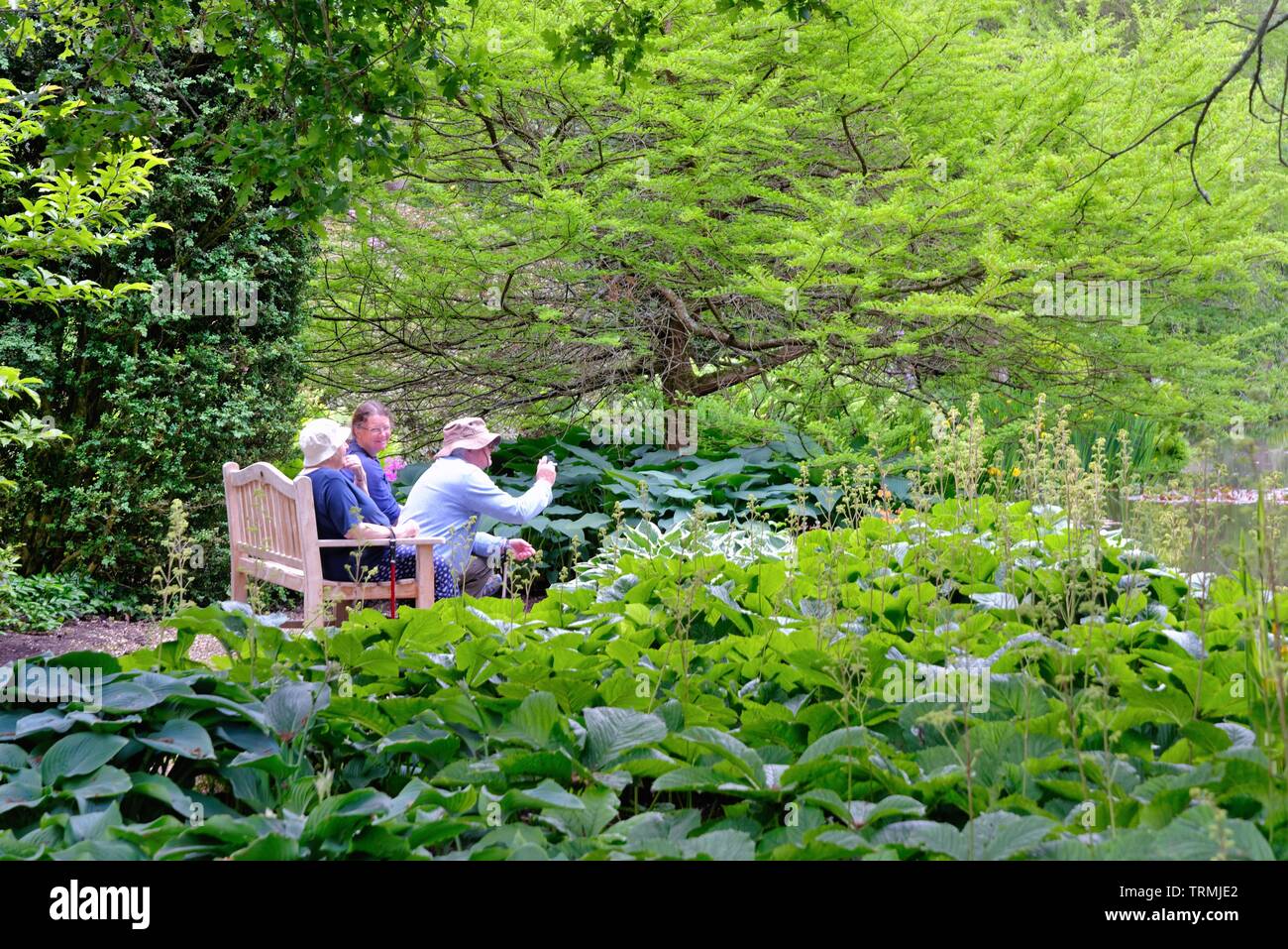 The Longstock Water Gardens, Leckford estate, Stockbridge Hampshire ...
