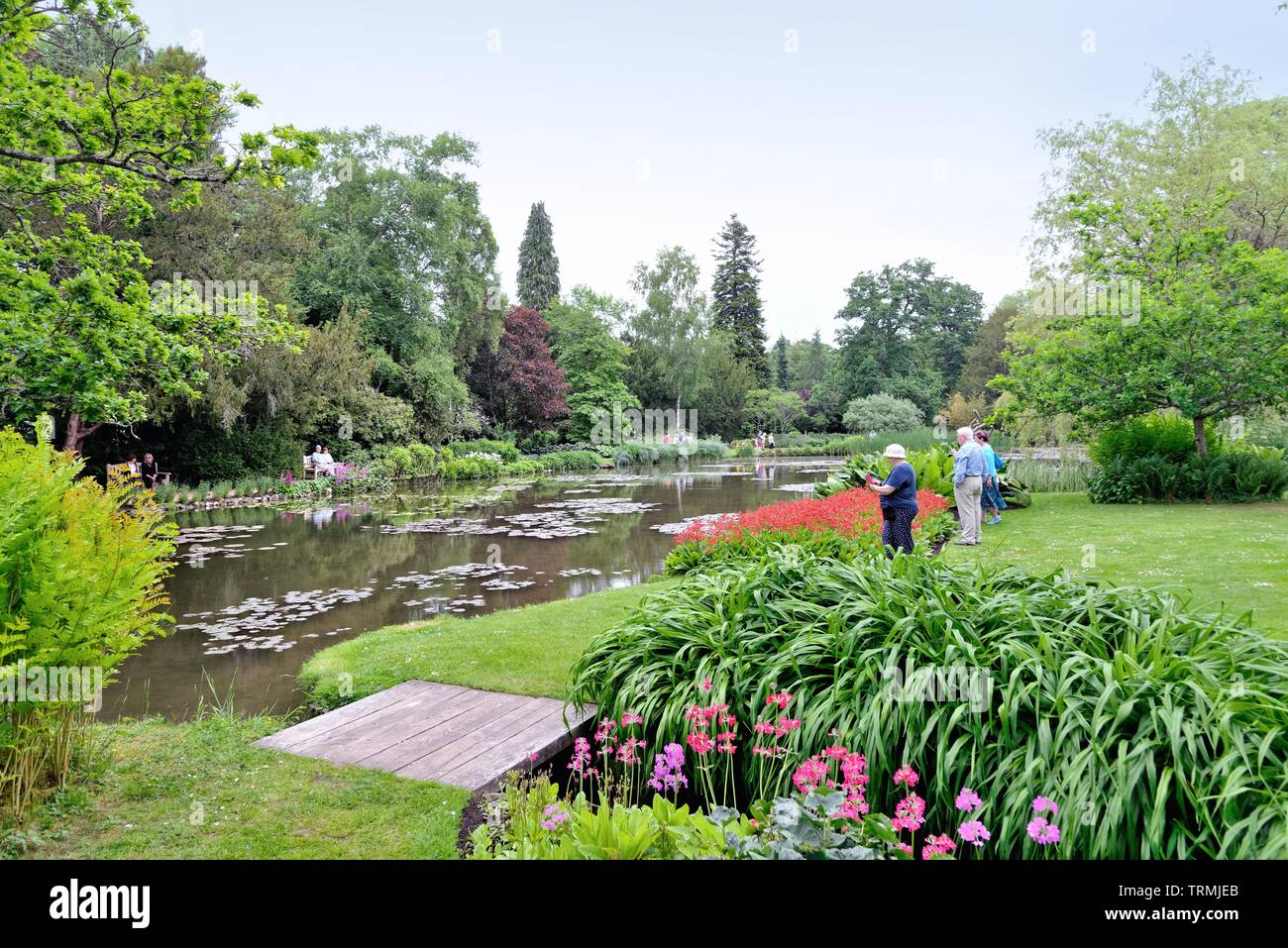 The Longstock Water Gardens, Leckford estate, Stockbridge Hampshire ...