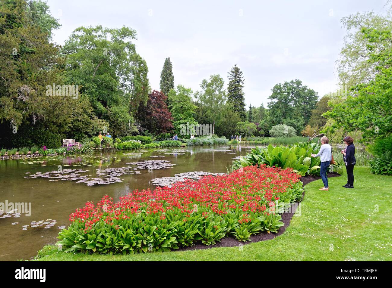 The Longstock Water Gardens, Leckford estate, Stockbridge Hampshire ...
