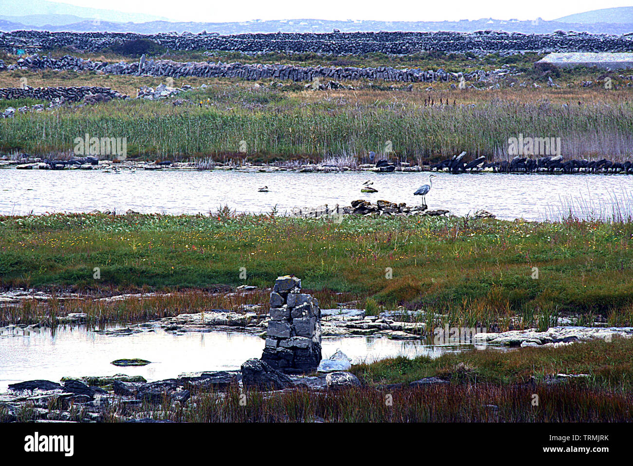 rocky coastline of Inishmore, one of the Aran Island, Ireland Stock ...