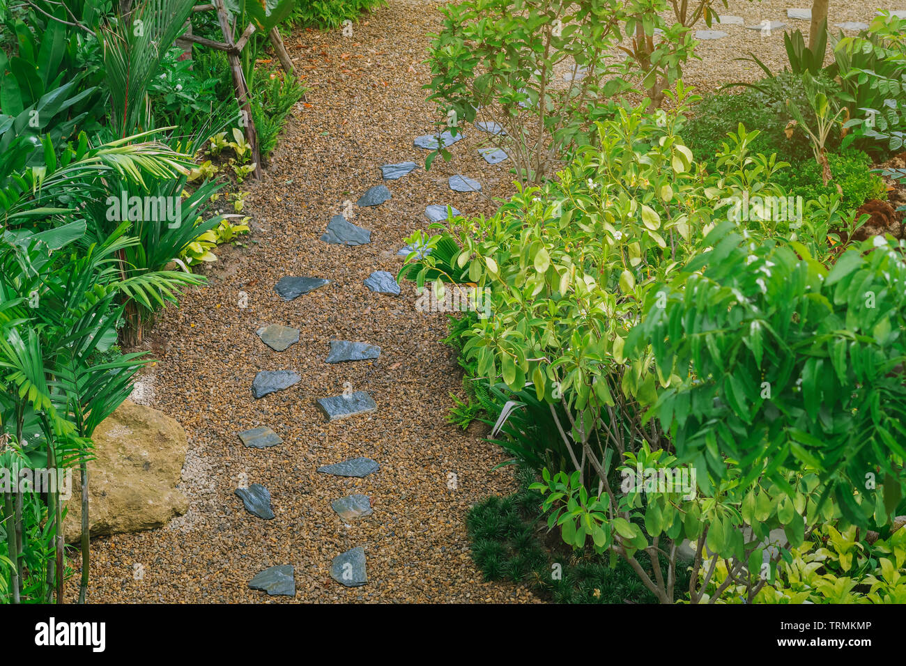 Top view of walkway in the garden and green shrub beside pathway.Garden ...