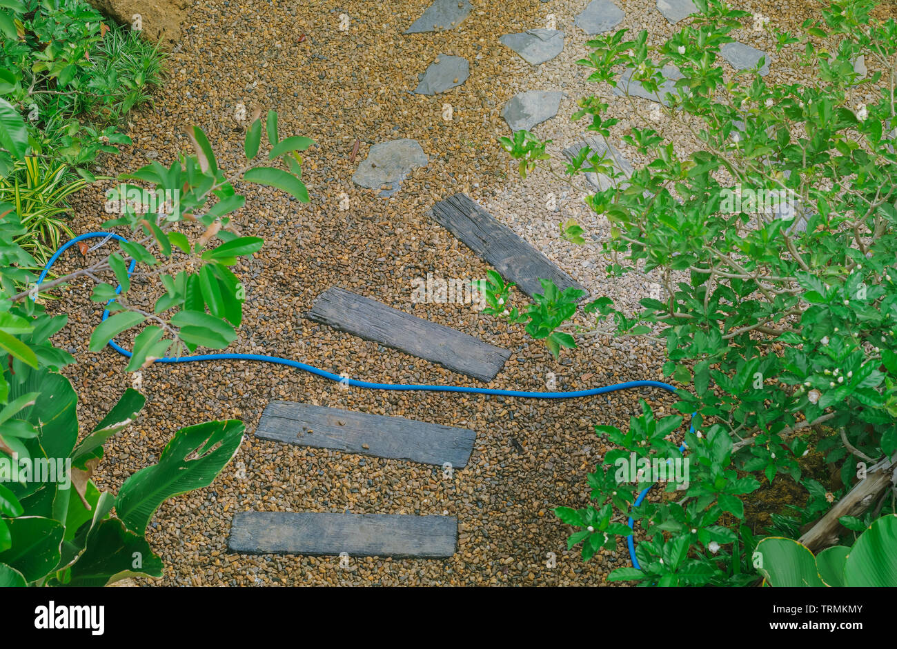 Top view of walkway in the garden and green shrub beside pathway.Garden ...