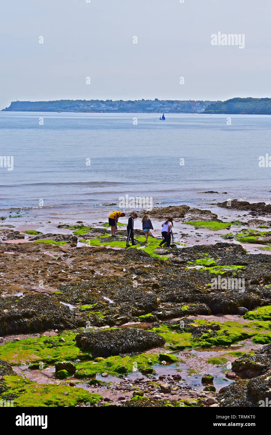 Family exploring rockpools hi-res stock photography and images - Alamy