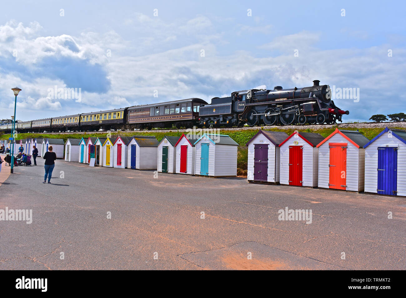 Engine No.75014 'Braveheart' of the Dartmouth Steam Railway, steams ...
