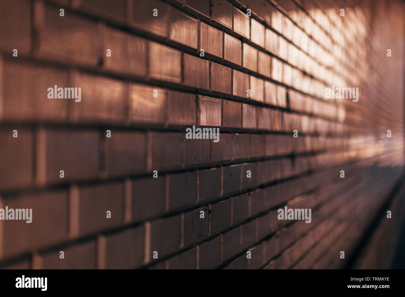 Tiles in the underpass of Margaret bridge Stock Photo - Alamy