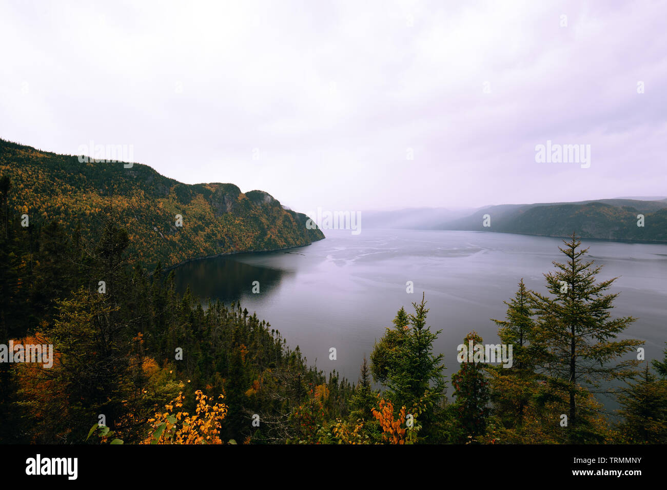 Forest quebec hi-res stock photography and images - Alamy