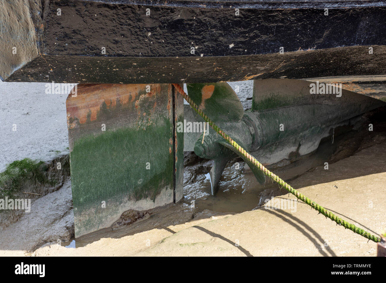Rudder and propeller of an old wooden river boat in mud Stock Photo - Alamy