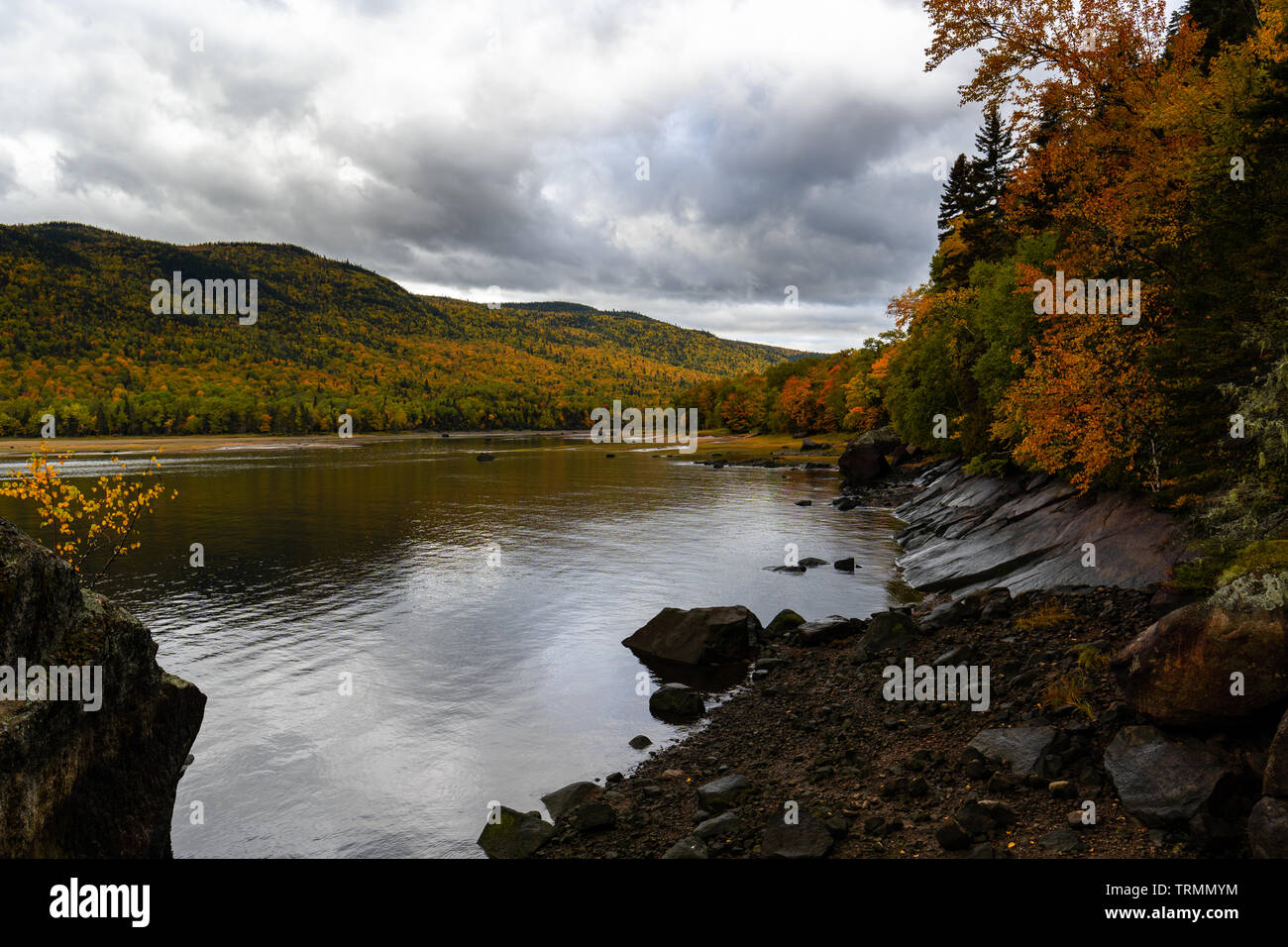 Colorful trees river in hi-res stock photography and images - Alamy