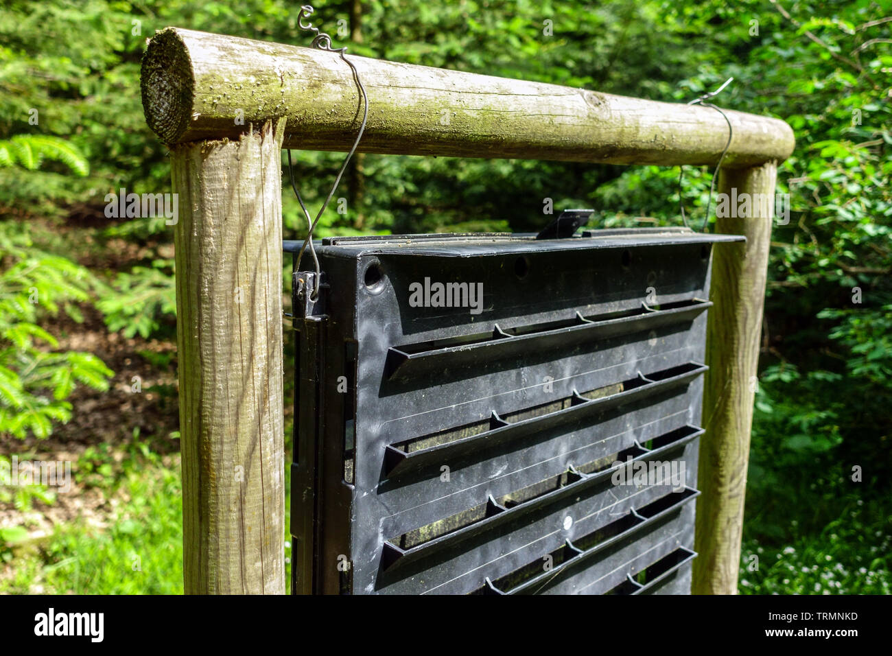 Pheromone trap, bark beetle trap Stock Photo - Alamy