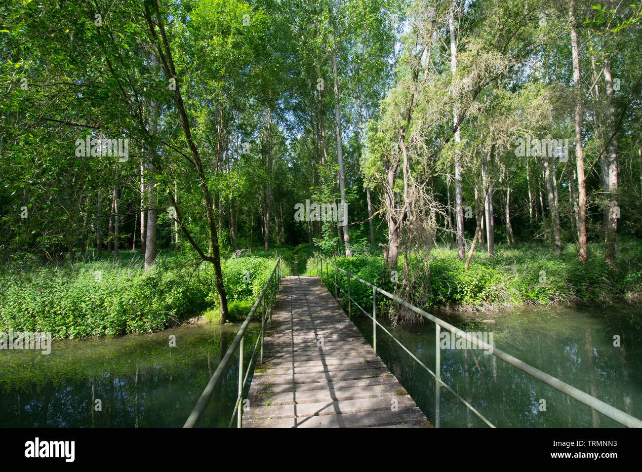 Black creek wetlands hi-res stock photography and images - Alamy