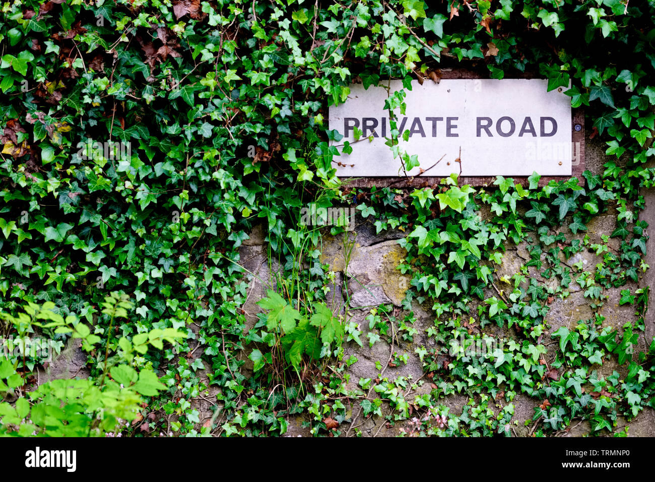 Private road sign on wall covered in ivy Stock Photo - Alamy