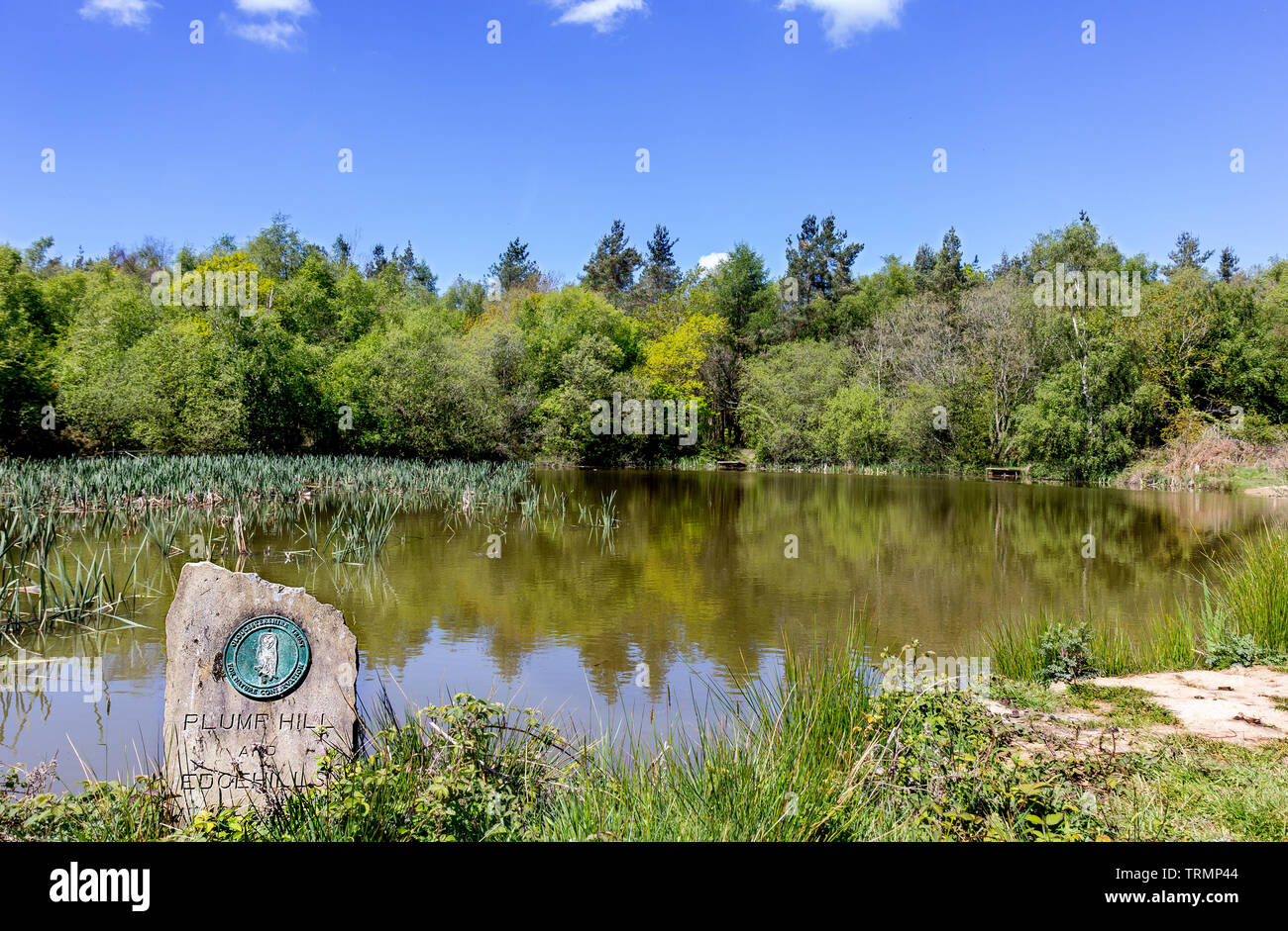 Pond on Plump Hill Stock Photo - Alamy