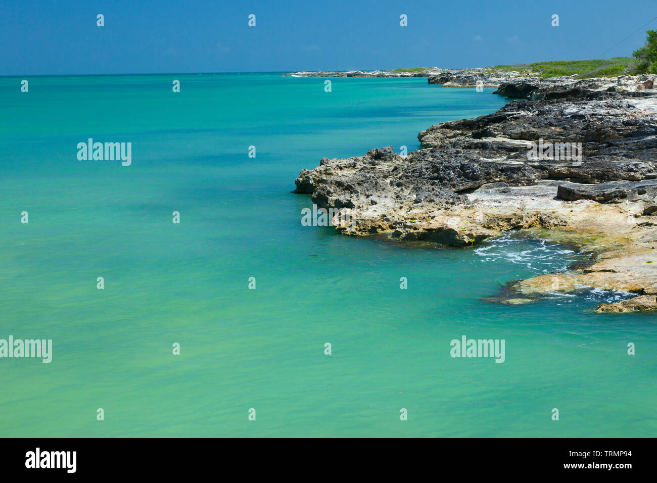 Parque Nacional Isla Contoy, Estado de Quntana Roo, Península de ...
