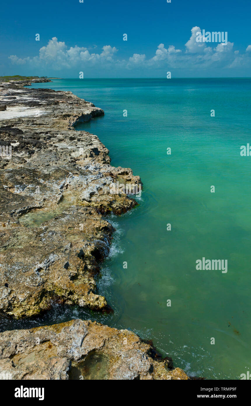 Parque Nacional Isla Contoy, Estado de Quntana Roo, Península de ...