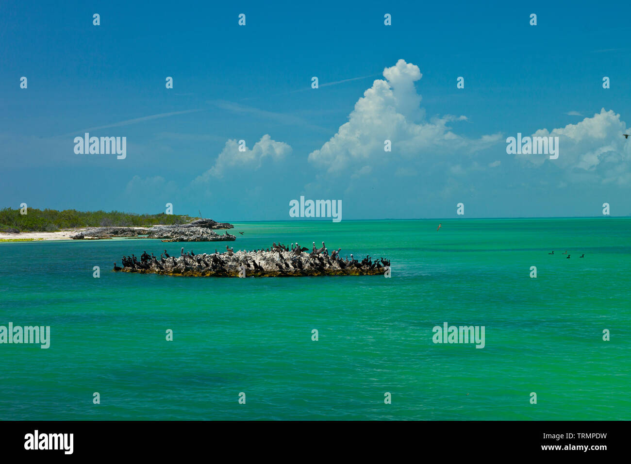 Parque Nacional Isla Contoy, Estado de Quntana Roo, Península de ...