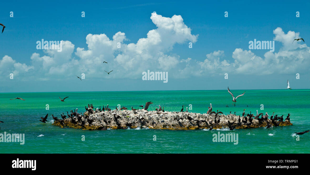 Parque Nacional Isla Contoy, Estado de Quntana Roo, Península de ...