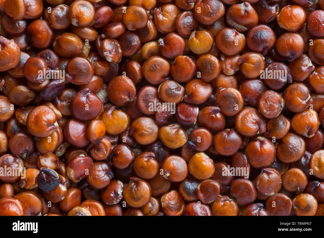 Raw red quinoa close hi-res stock photography and images - Alamy