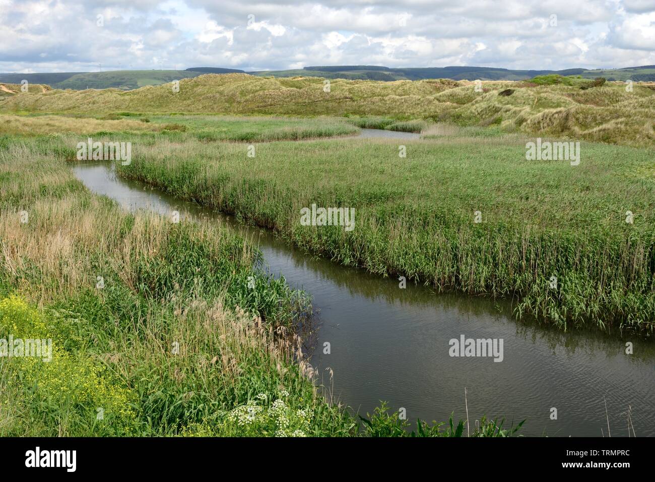 Gynffig hi-res stock photography and images - Alamy