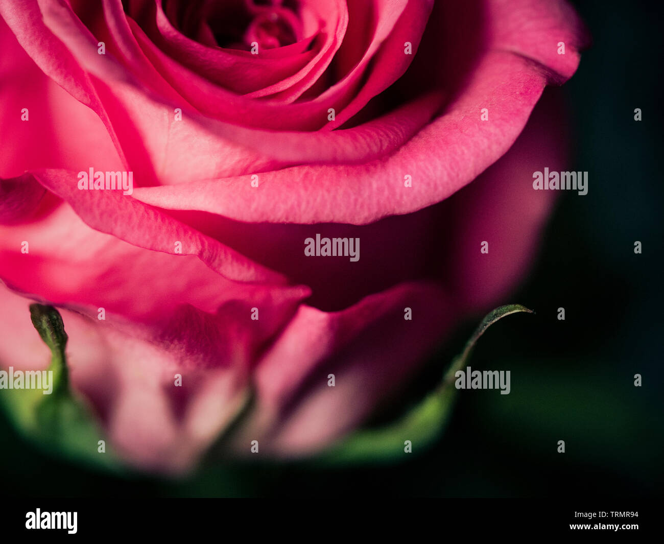 Desaturated Colour High Resolution Stock Photography and Images - Alamy