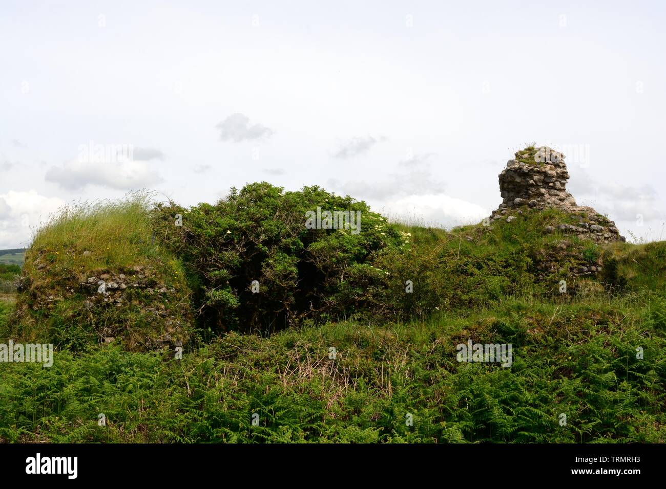 The ruins remains of Kenfig Castle Norman Castle established by Robert ...
