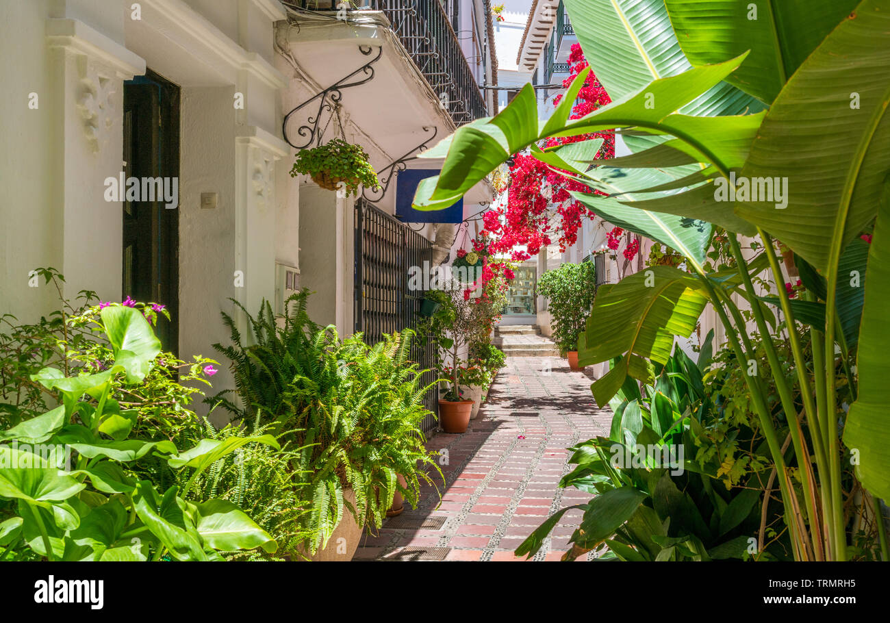 Marbella arch hi-res stock photography and images - Alamy