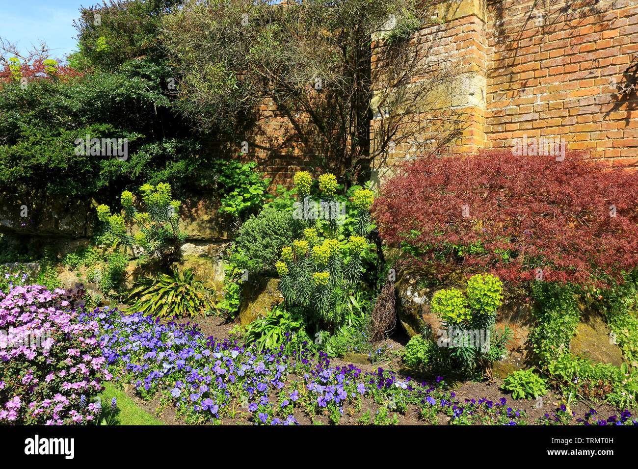 A beautiful Garden scene Stock Photo - Alamy